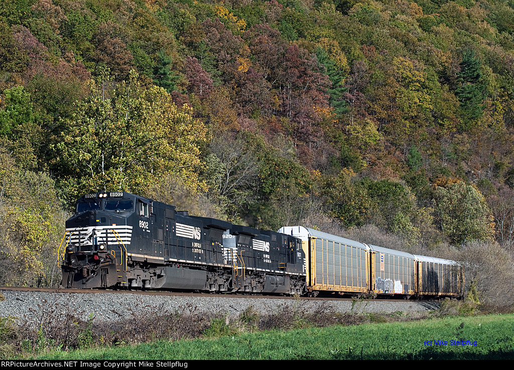NS 8902